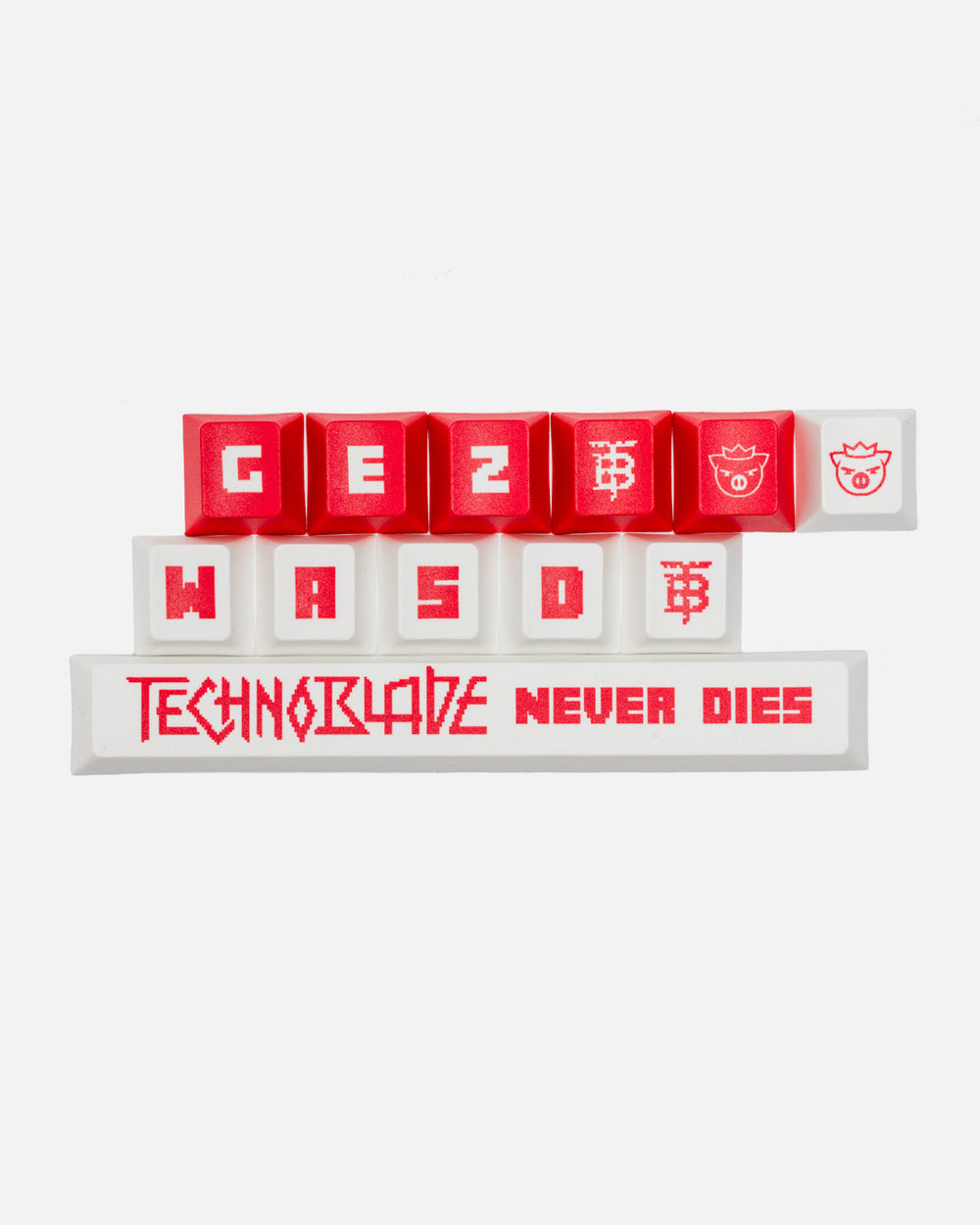 From The Archives – Technoblade Official